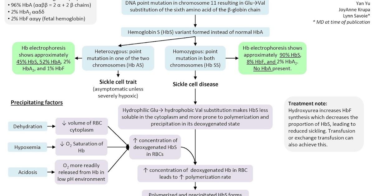 Paediatric Emergency Medicine: Sickle Cell