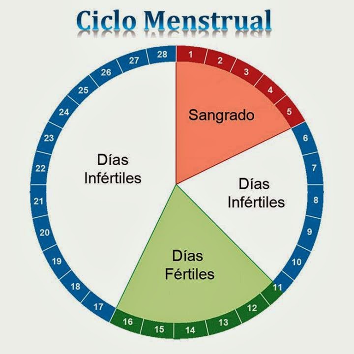 TU SALUD: CICLOS MENSTRUAL