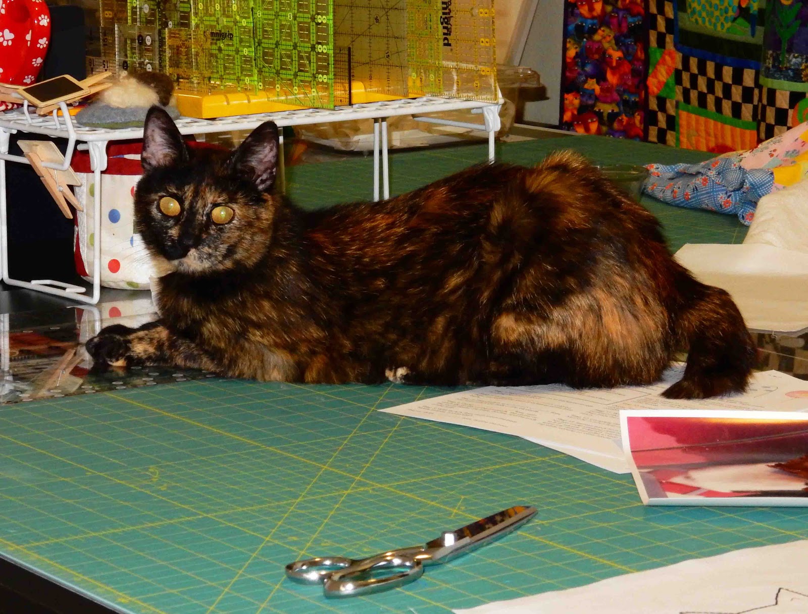 Cat Patches: Sewing Cat