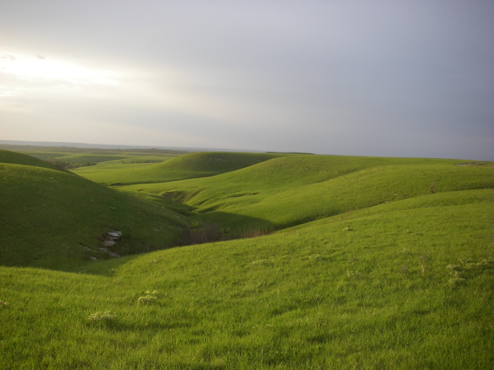 LTER: Desert to Tropics, Mountains to Coasts : The “Pristine” Tallgrass ...