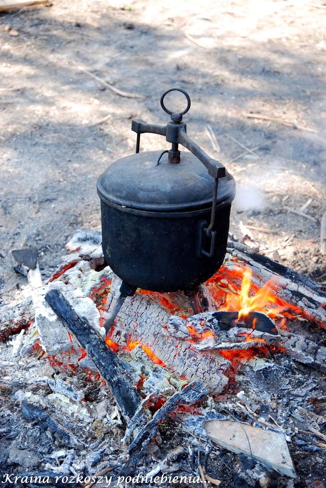 Pieczonki w Nadleśniczówce | Kraina rozkoszy podniebienia...