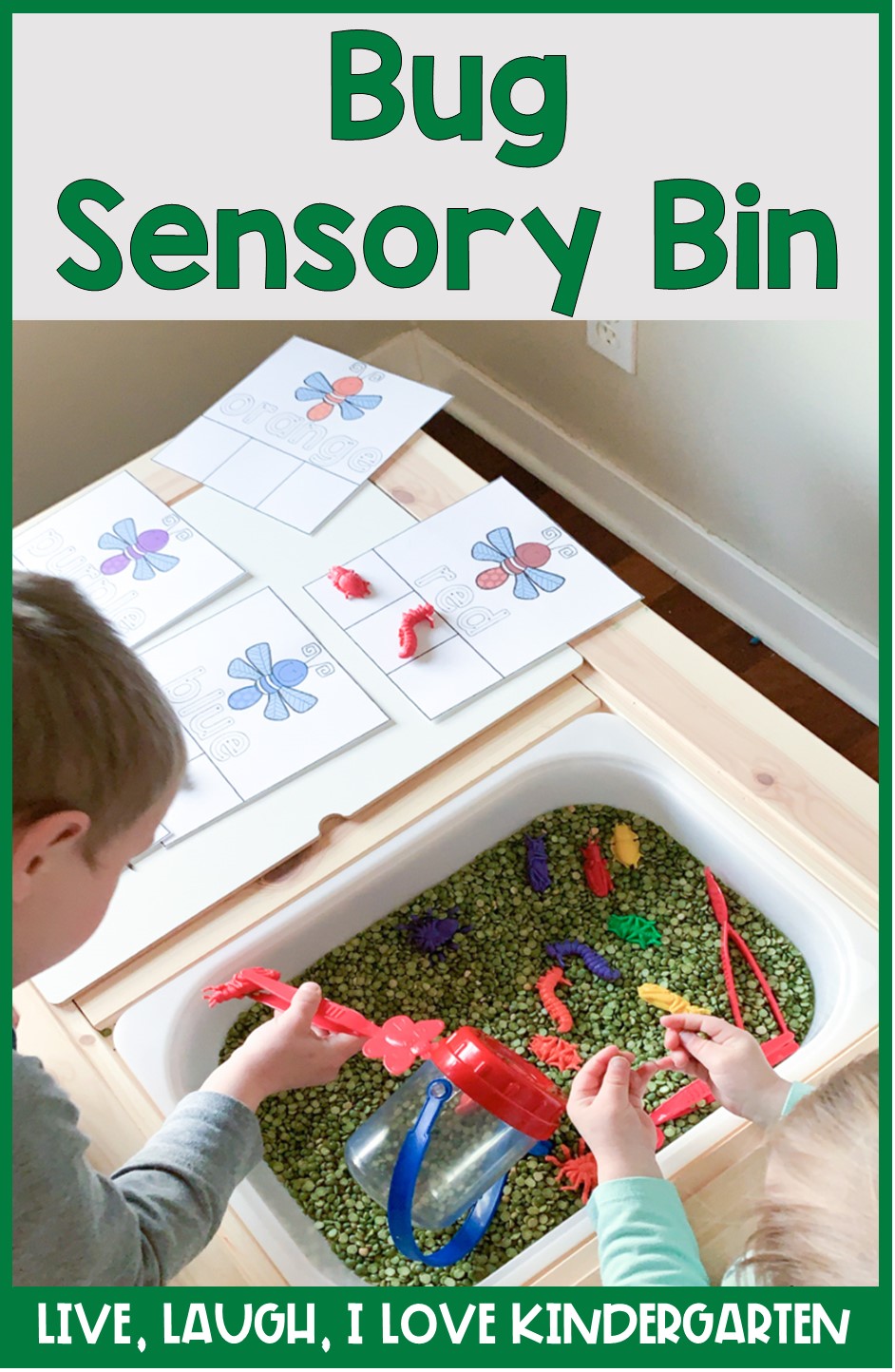 I wanted to share with you our bug themed sensory bin we used this week!