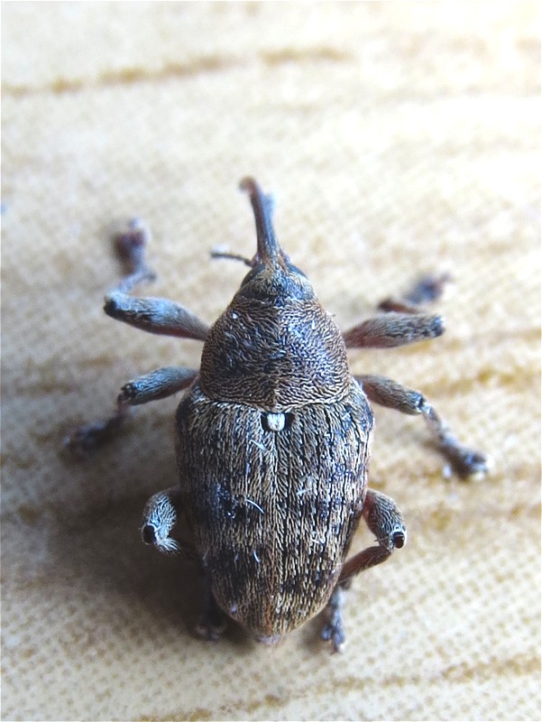 The Natural Stone: September 2013