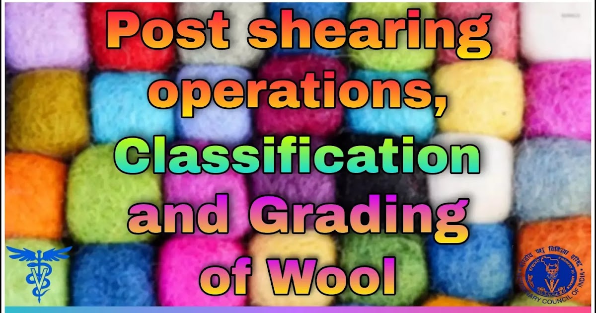 Post shearing operations, Classification and Grading of Wool.