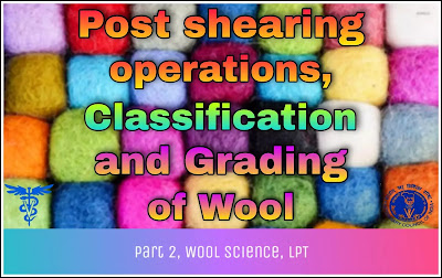Post shearing operations, Classification and Grading of Wool.