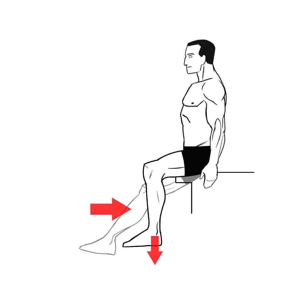 In-Home Physical Therapy Exercises for Fall Risk and Prevention | PT-Helper