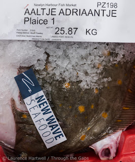 Through the Gaps! - Newlyn Fishing News: Plenty of quality 'Cornish ...