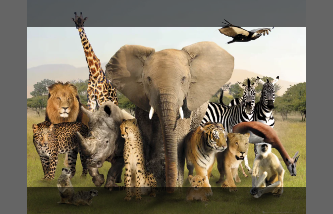 THE ENGLISH CLASSROOM BY MªJOSÉ MUELA: LET'S PLAY KAHOOT!!! GUESS THE ...