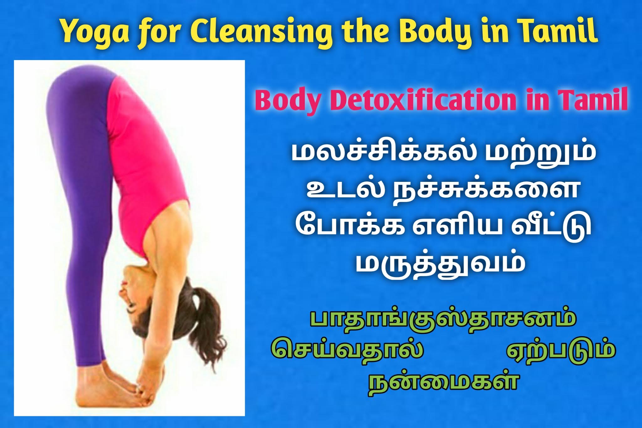 Body body