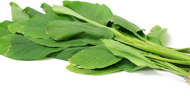 "Sampath Speaking" - the thoughts of an Insurer from Thiruvallikkeni ...