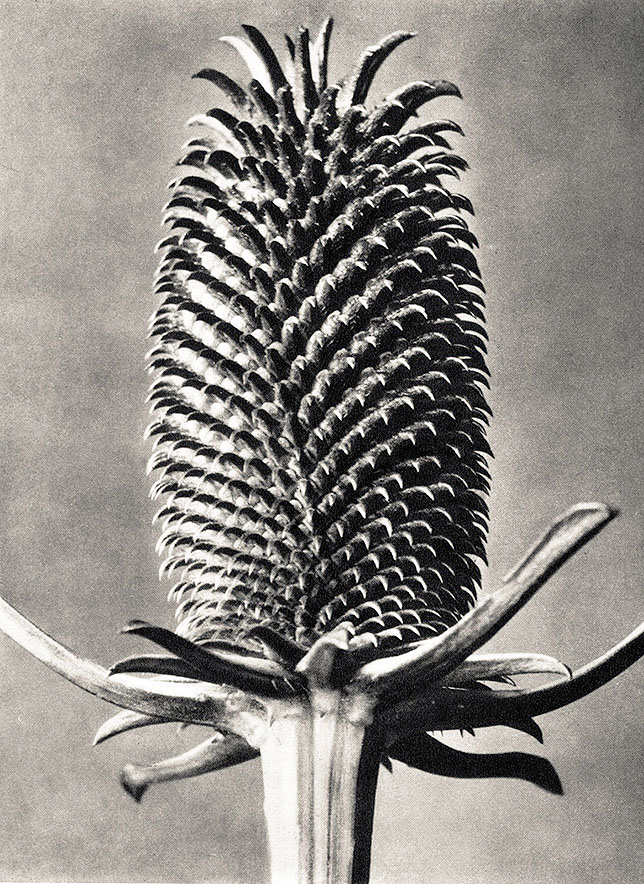 Artist of the day: Artist of the day, February 15, 2020: Karl ...