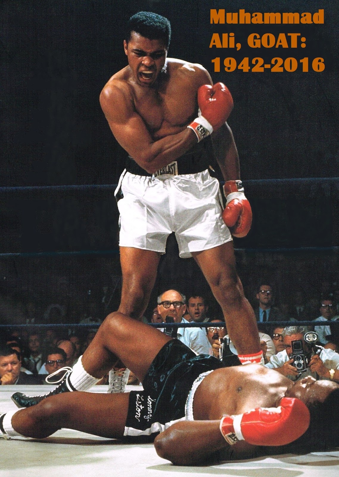 oz.Typewriter: Actual Size of Ali's Fist