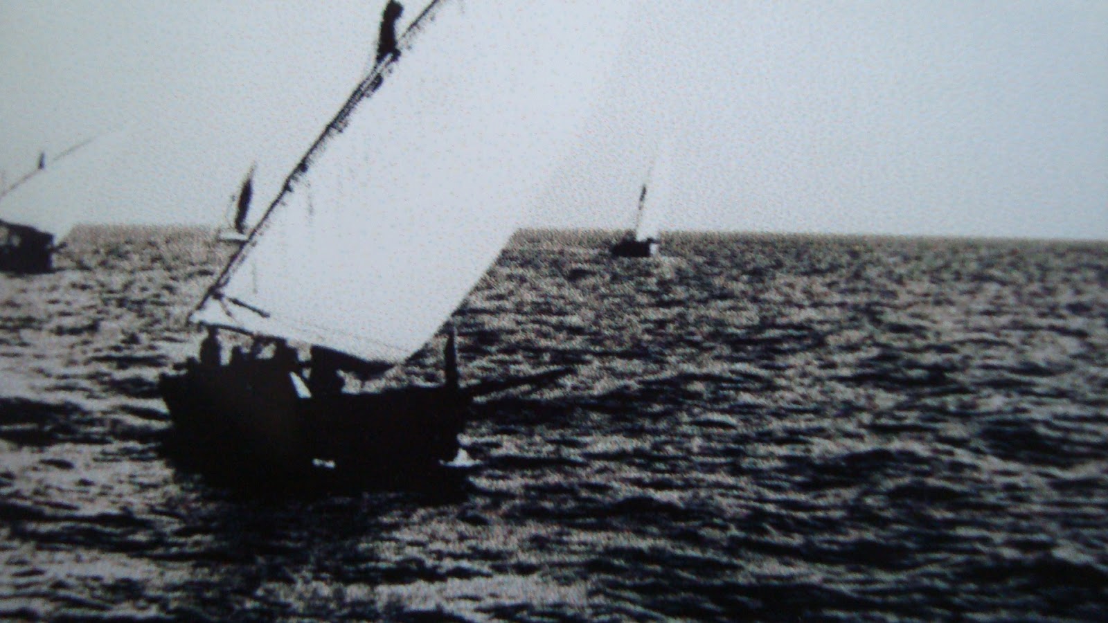 CONOCER TORRENOSTRA: TRASMALLO