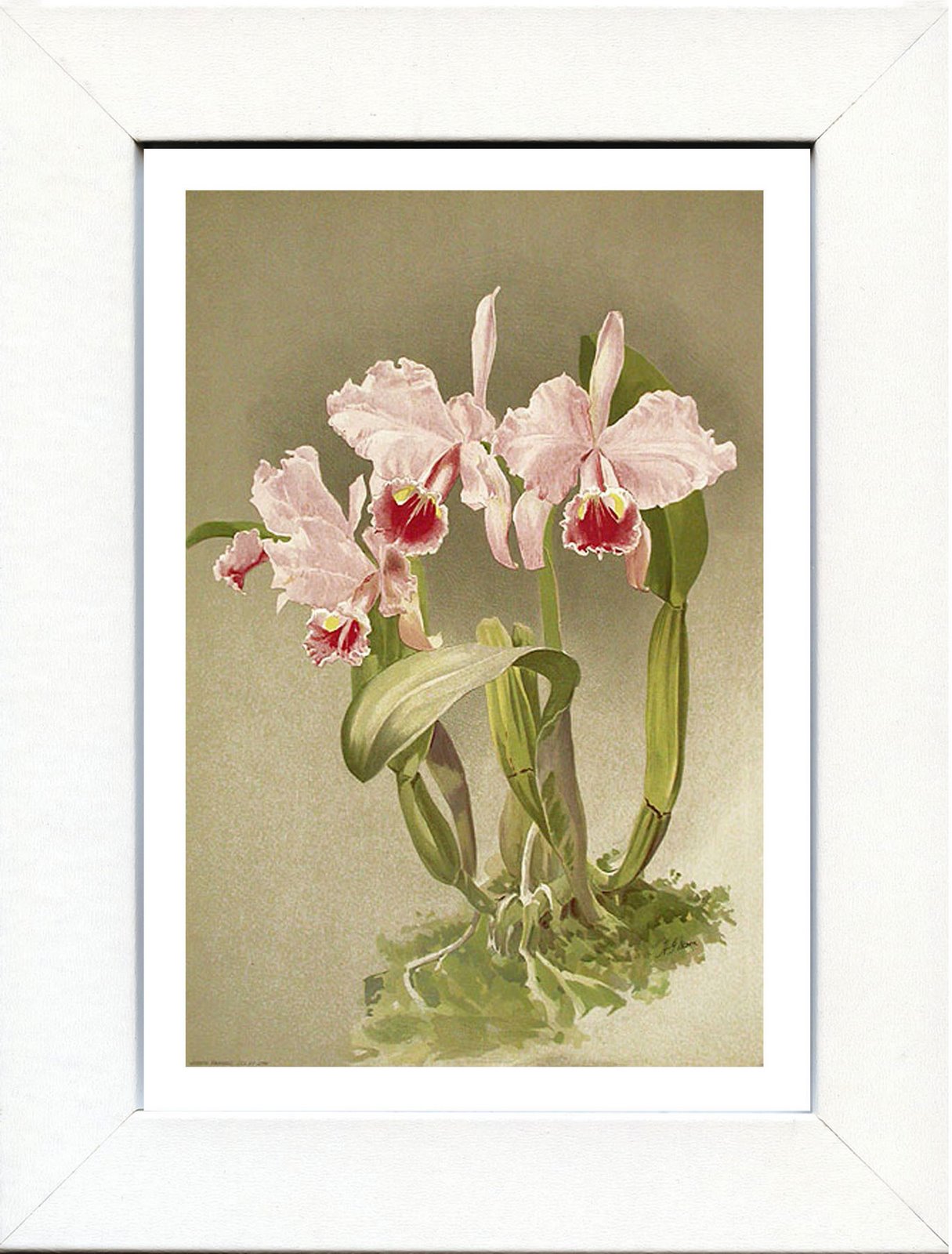 jjjewel.resimlerim: ÇİÇEK TEMALI RESİMLER