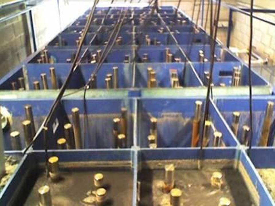 PROCESOS DE MANUFACTURA: VISITA TECNICA-PLANTA DE TRATAMIENTO DE AGUAS ...