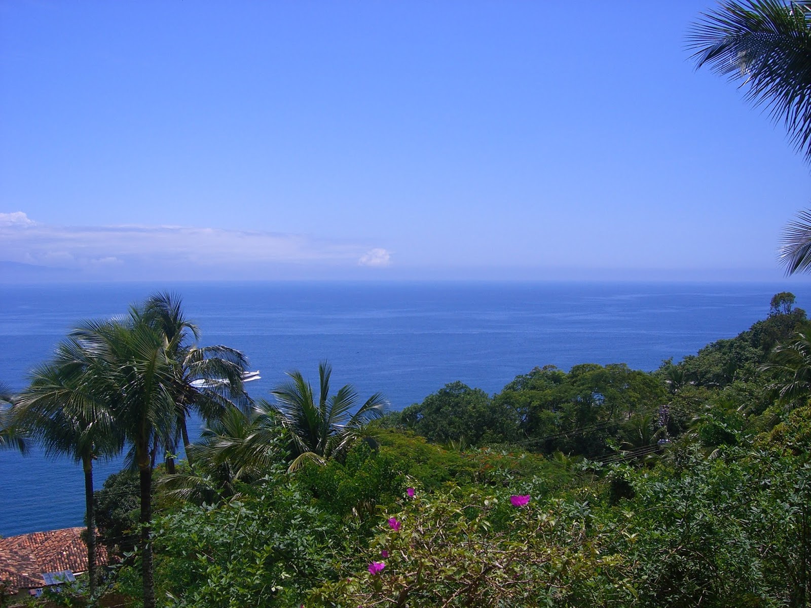 Top 10 Must-Visit Islands in Brazil - Wizootravel blog