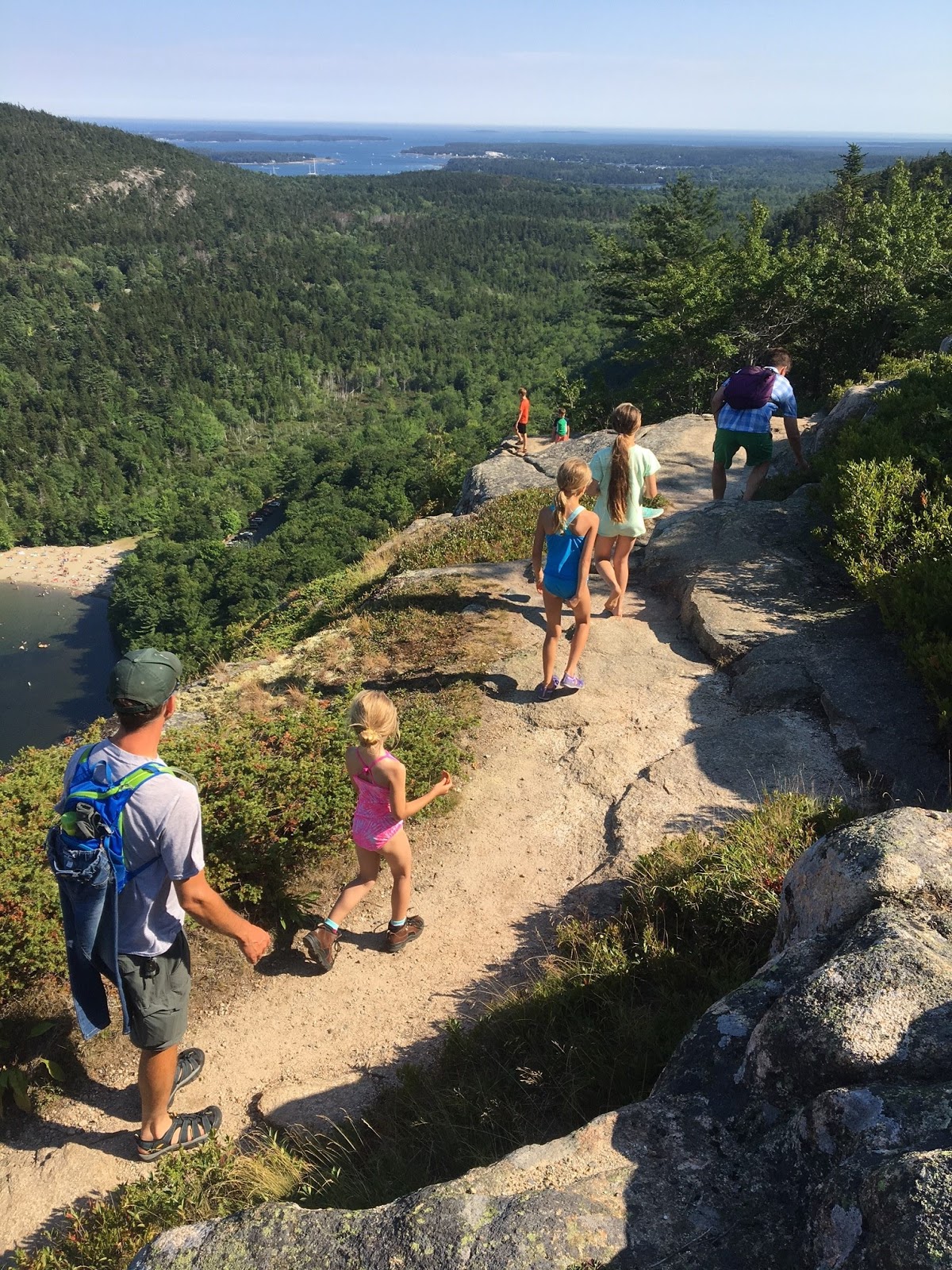 Chestnut Hill Farm: Week 10:We are Half Way through the season already ...