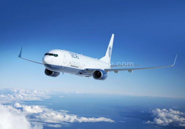 Boeing 737-800BCF Specs, Payload, Cockpit, and Price - Airplane Update