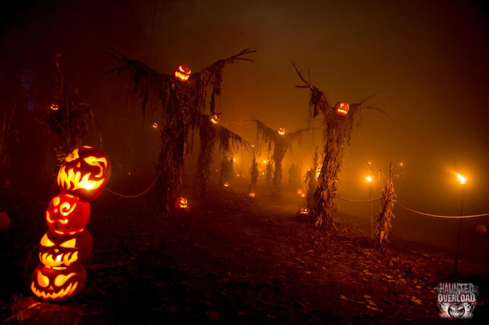 PUMPKINROT.COM: The Blog: More Haunted Overload