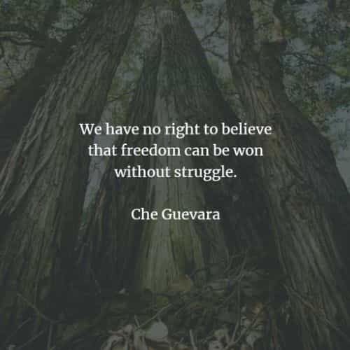 54 Famous quotes and sayings by Che Guevara