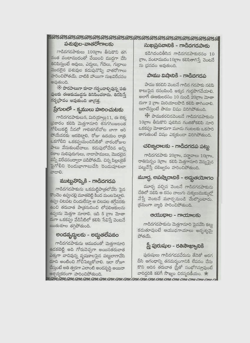 AYURVEDAM - ఆయుర్వేదం: DR . ELCHURI RECIPES WITH GADIDA GADAPA CHETTU ...