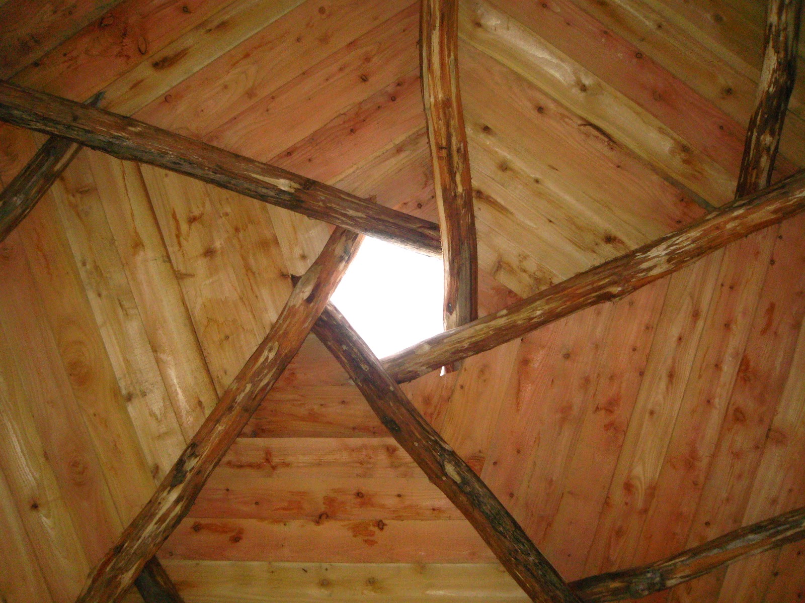 Reciprocal Frame Roof Model