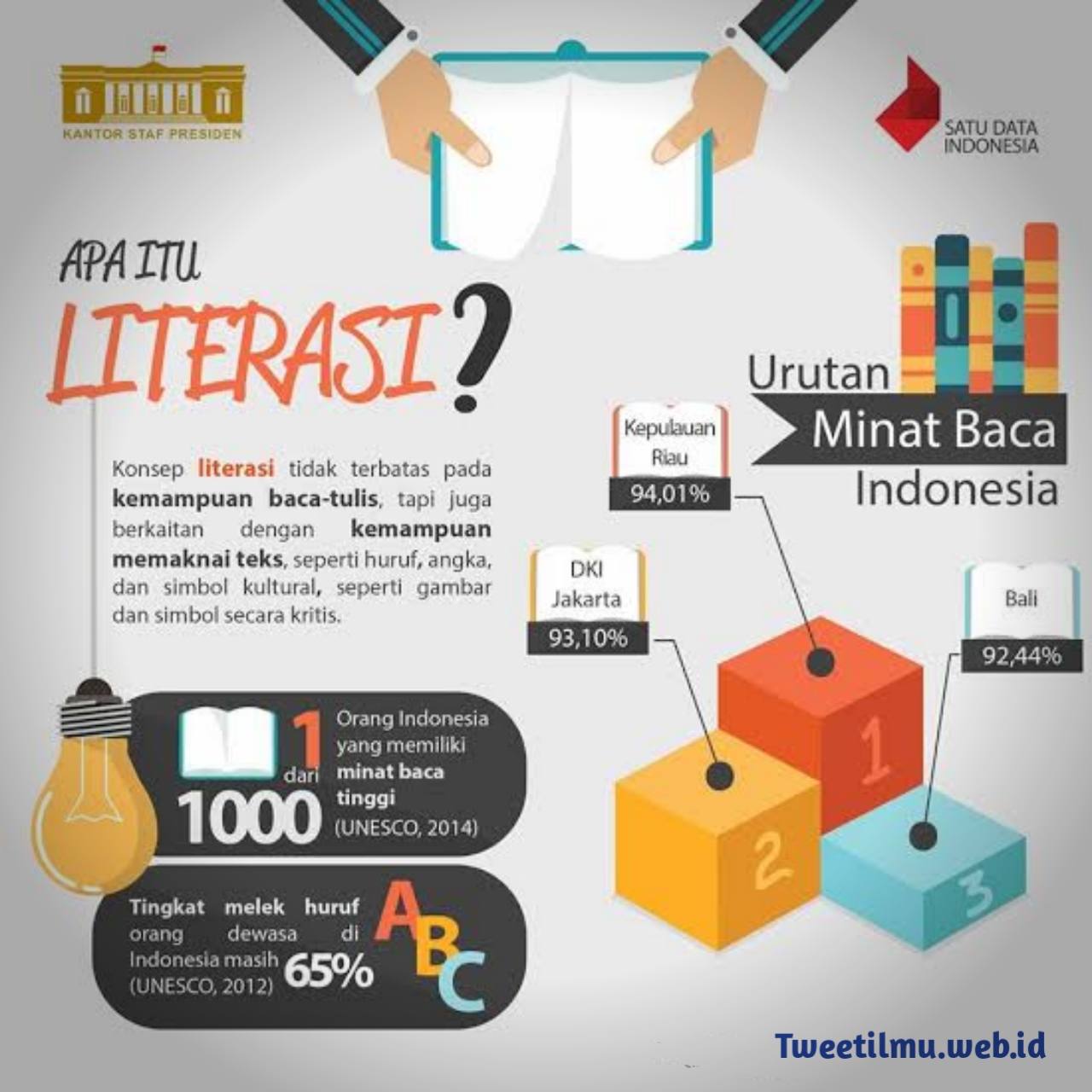 Miris!! Inilah Kondisi Literasi Indonesia (Essai dan Pembahasan) - Tweet Ilmu