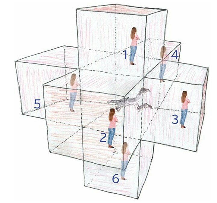 From point to line to square to cube to tesseract