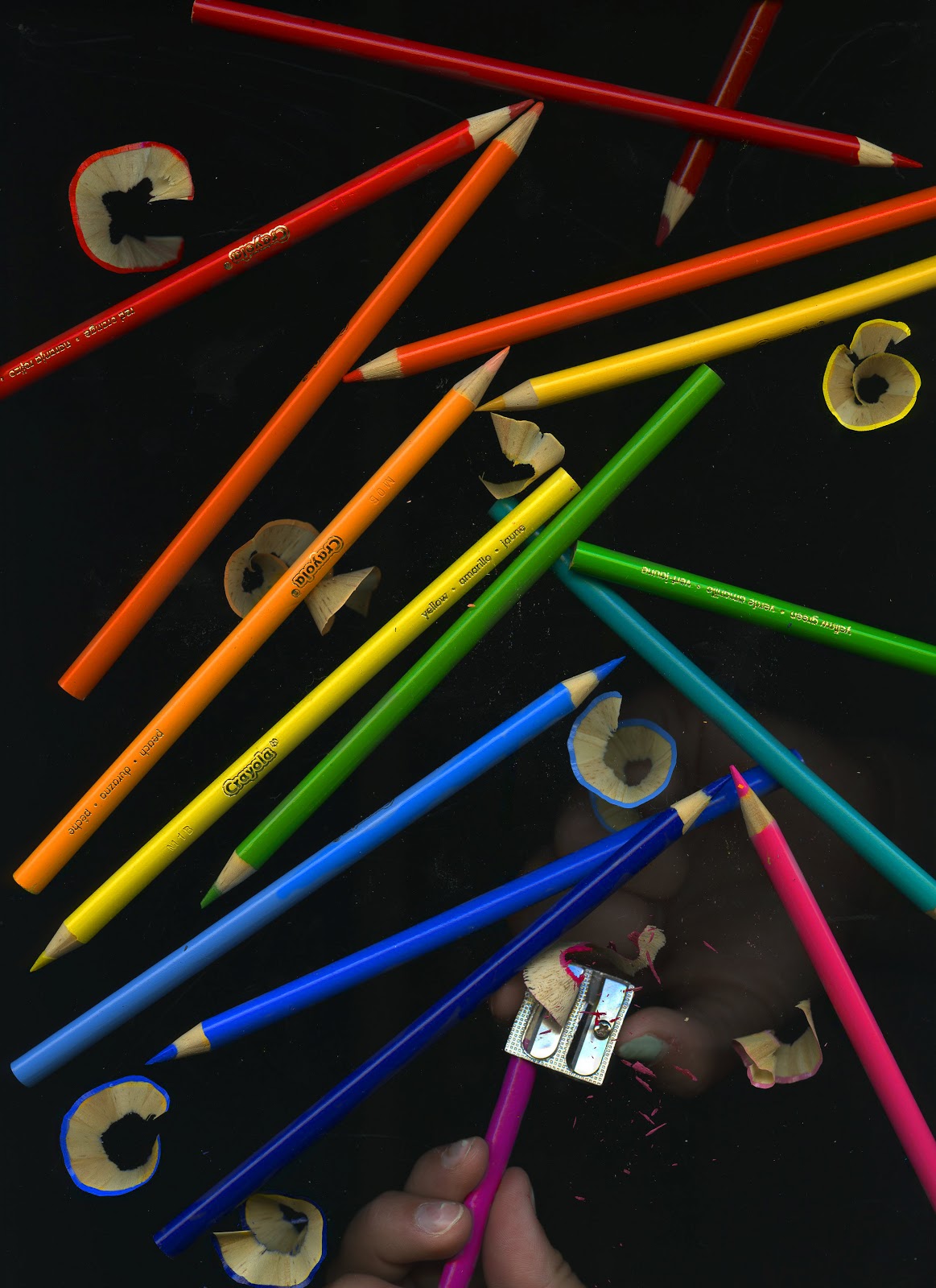 Bailey Mincer's Digital Imaging Portfolio: Scanography