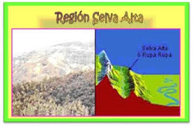 LAS8REGIONESNATURALESDELPERU