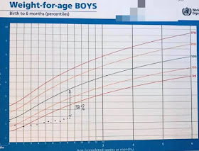 Analytical Armadillo: A Gain is Not a Gain. Faltering Growth in Breast ...