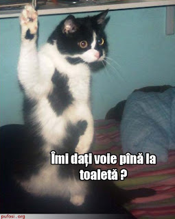 Bancuri cu Bula: Imagini Amuzante Cu Animale