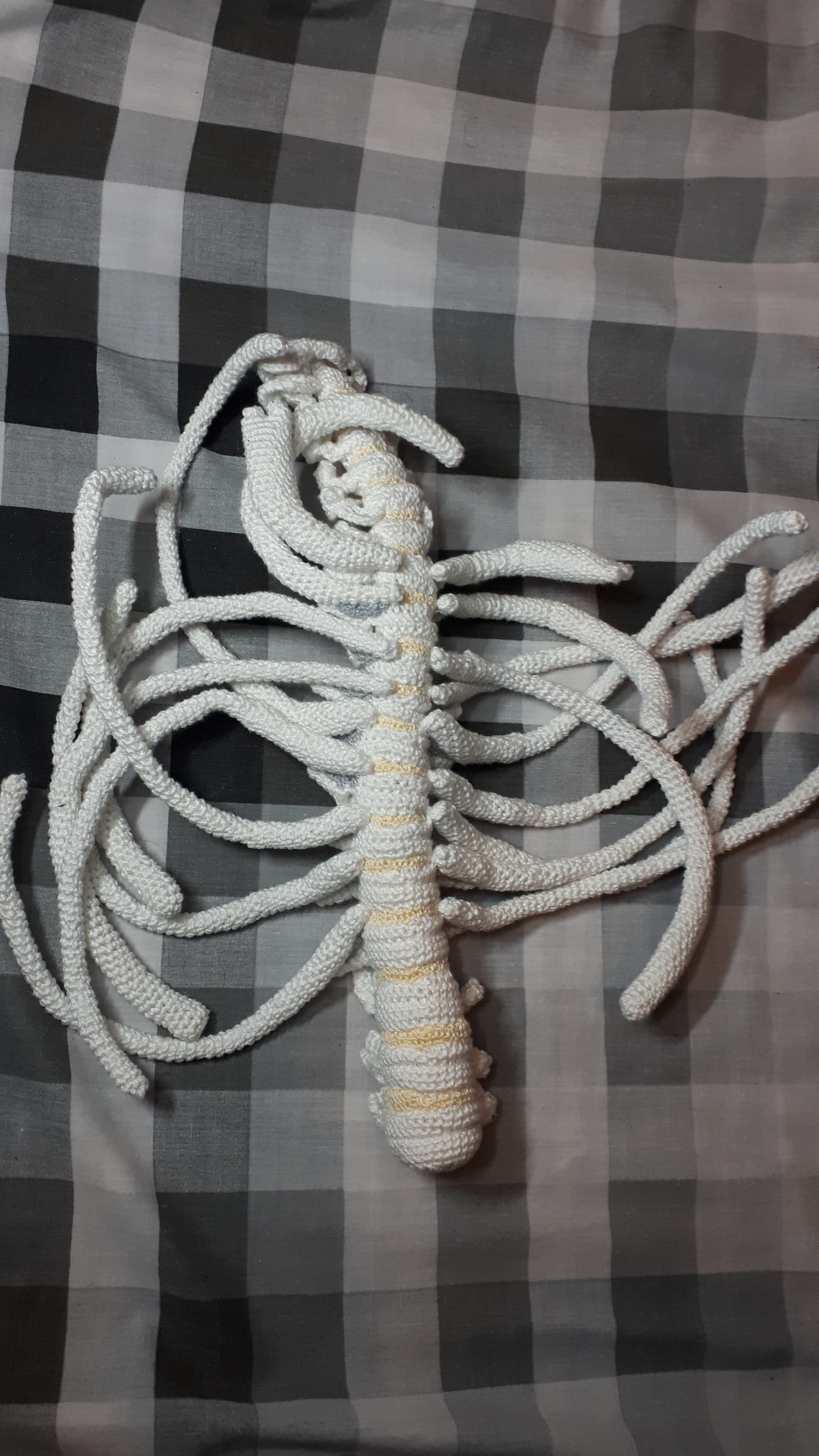 Adventures into Anatomical Crochet: Assembling ribs, spine, and sternum