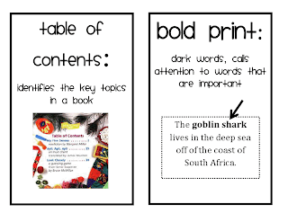 Buggy for Second Grade: Text Feature Freebie