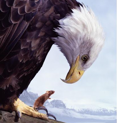 LA NUEVA CARAVANA: INTREPIDEZ