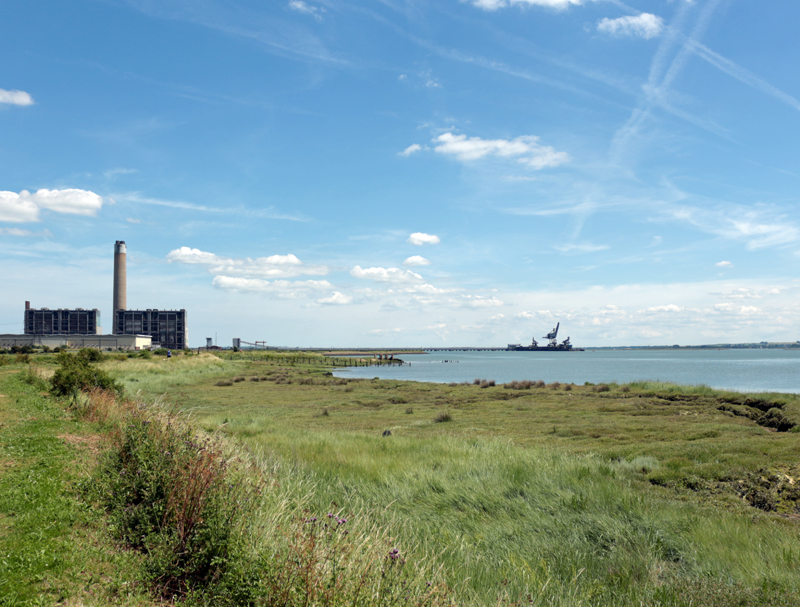 Salt Marsh at Hoo, Kent - 6th July 2016