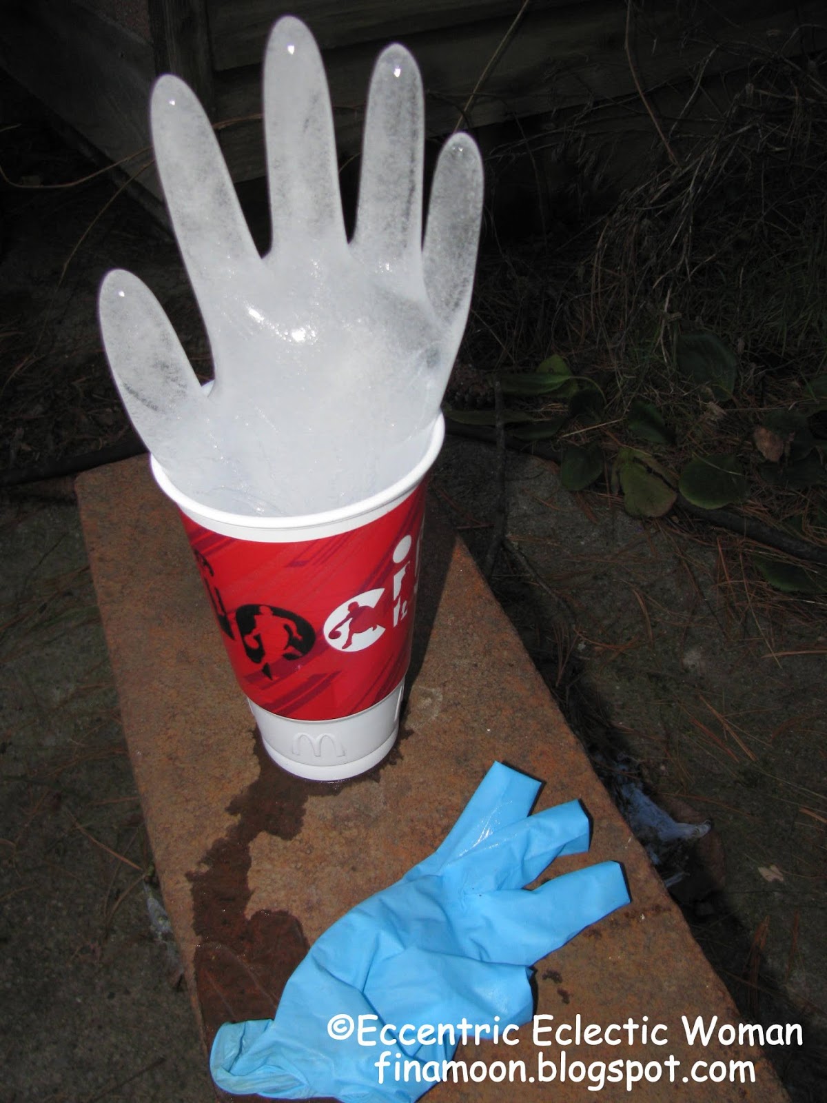 Eccentric Eclectic Woman: January 2017