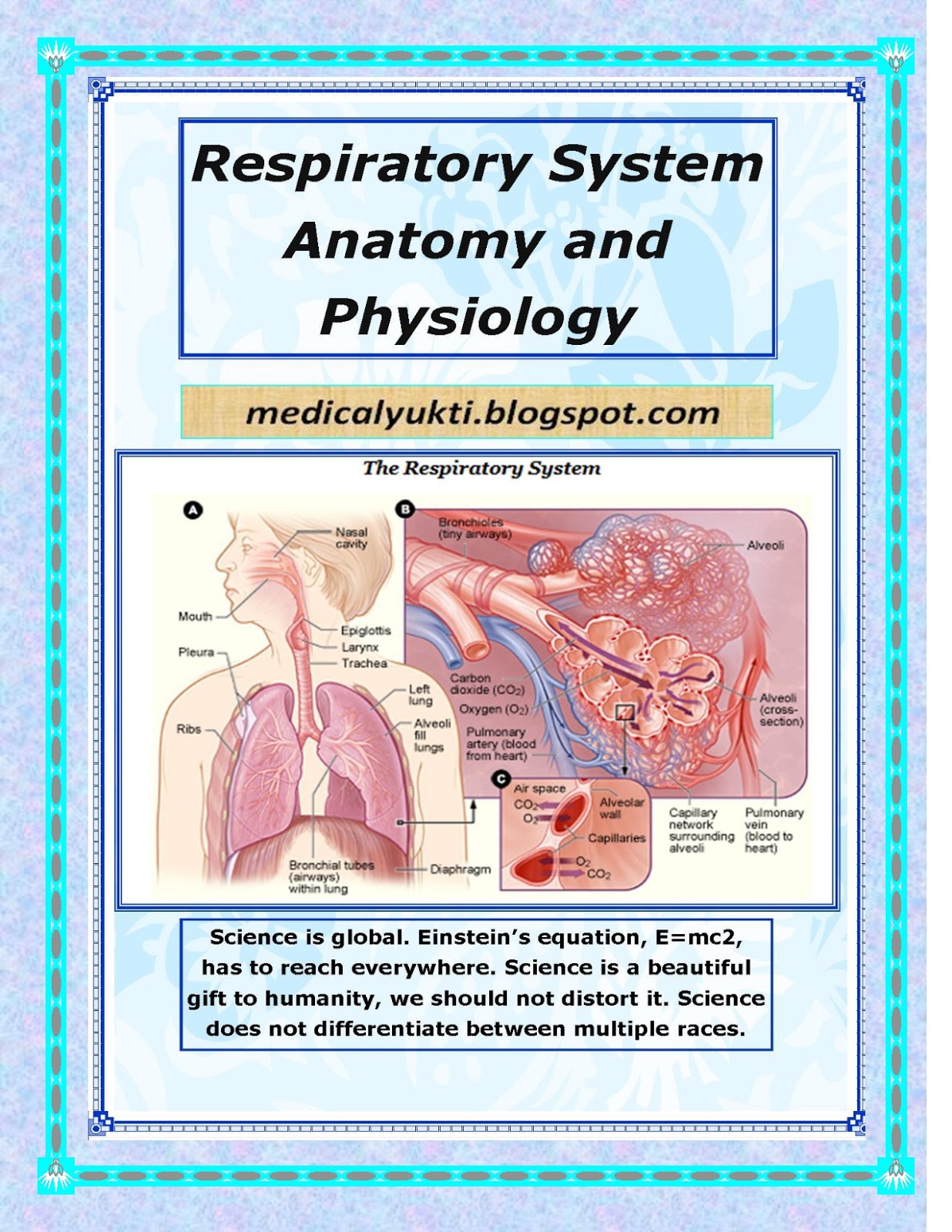 Respiratory System Anatomy Physiology - Medical Yukti