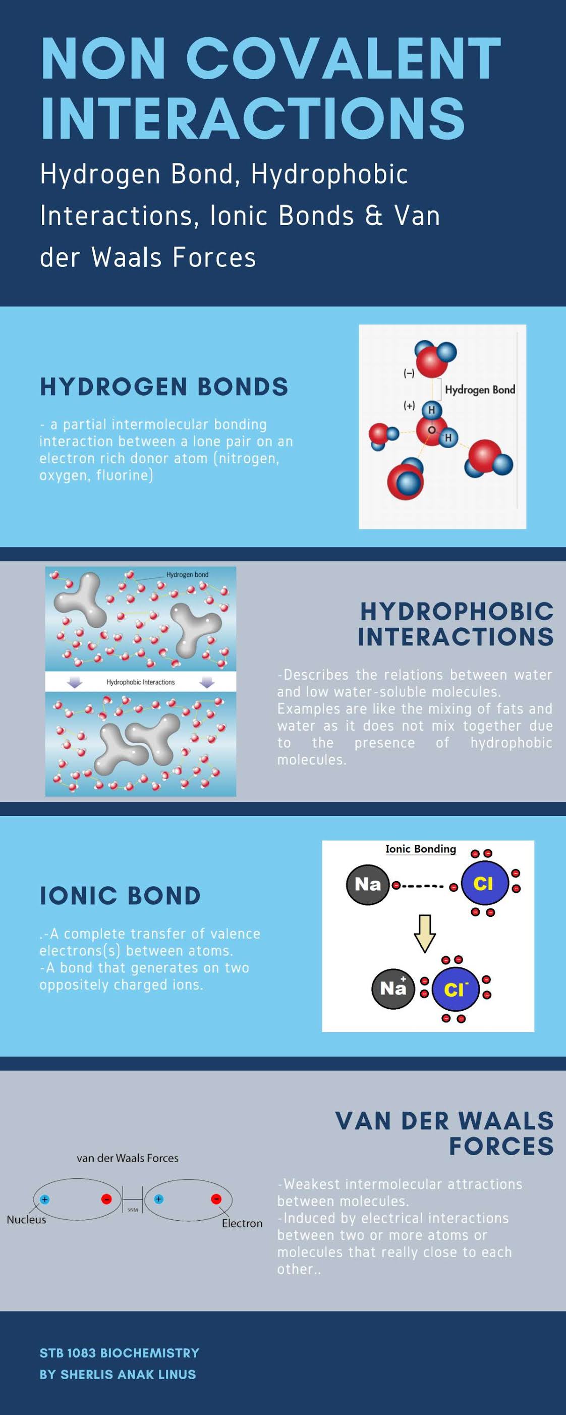 BioChemistry TASK 3 Infographic About Non Covalent Interactions biochemistry-task-3-infographic-about-non-covalent-interactions