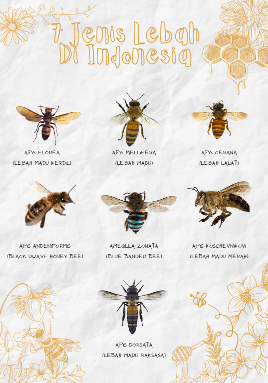 Wanderer's Journey: Cara Menjaga Populasi Lebah