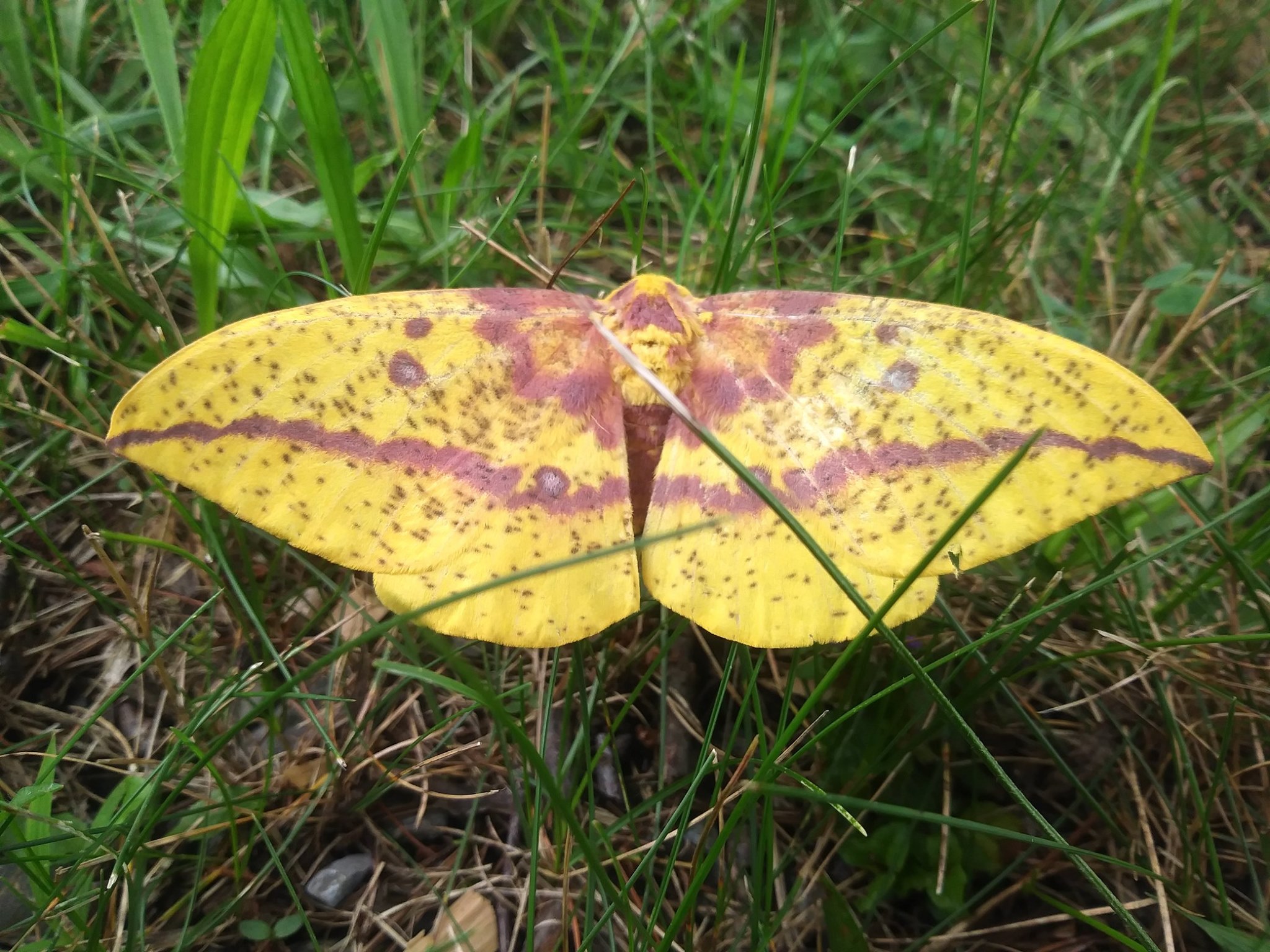 Trailheads: Welcome to September