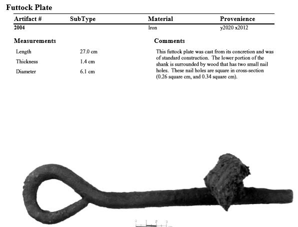 The Treasure Beaches Report Direct From Florida's Treasure Coast.: 8/14 ...