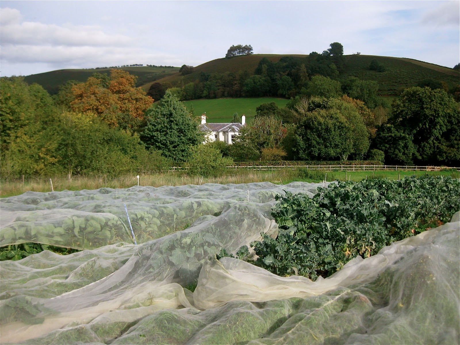 Hopesay Glebe Farm: January 2013