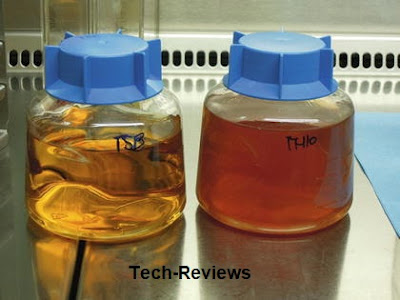 The Media Fill Current Scenario And Approach