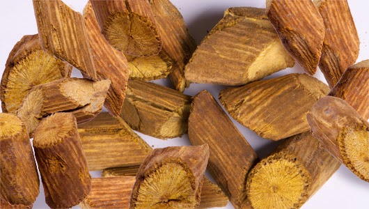 Herbal plants of Sri Lanka: Wenivael gaeta-Coscinium fenestratum