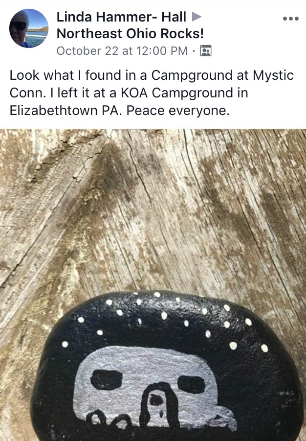 Northeast Ohio Rocks!: Northeast Ohio Rocks! in all 50 States..Cuatro!