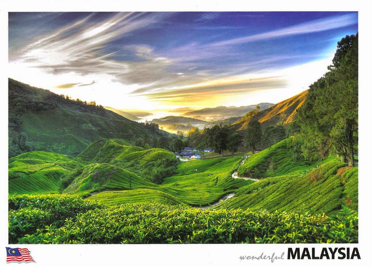 My Postcards Wonderland: MY-Postcards (Shashin)