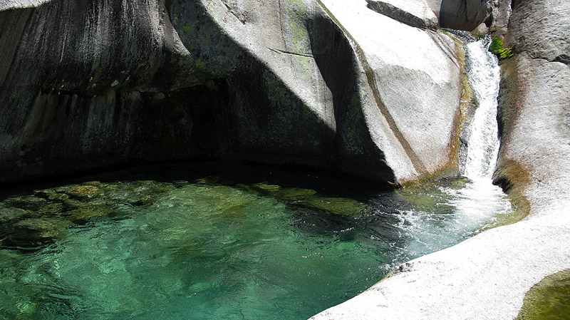 La merluza hermenéutica: SOMMER, SUMMER, ÉTÉ, UDAN...¡¡VERANO!!