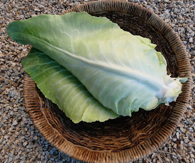 From Seed To Table: Harvest Monday - The Final Edition