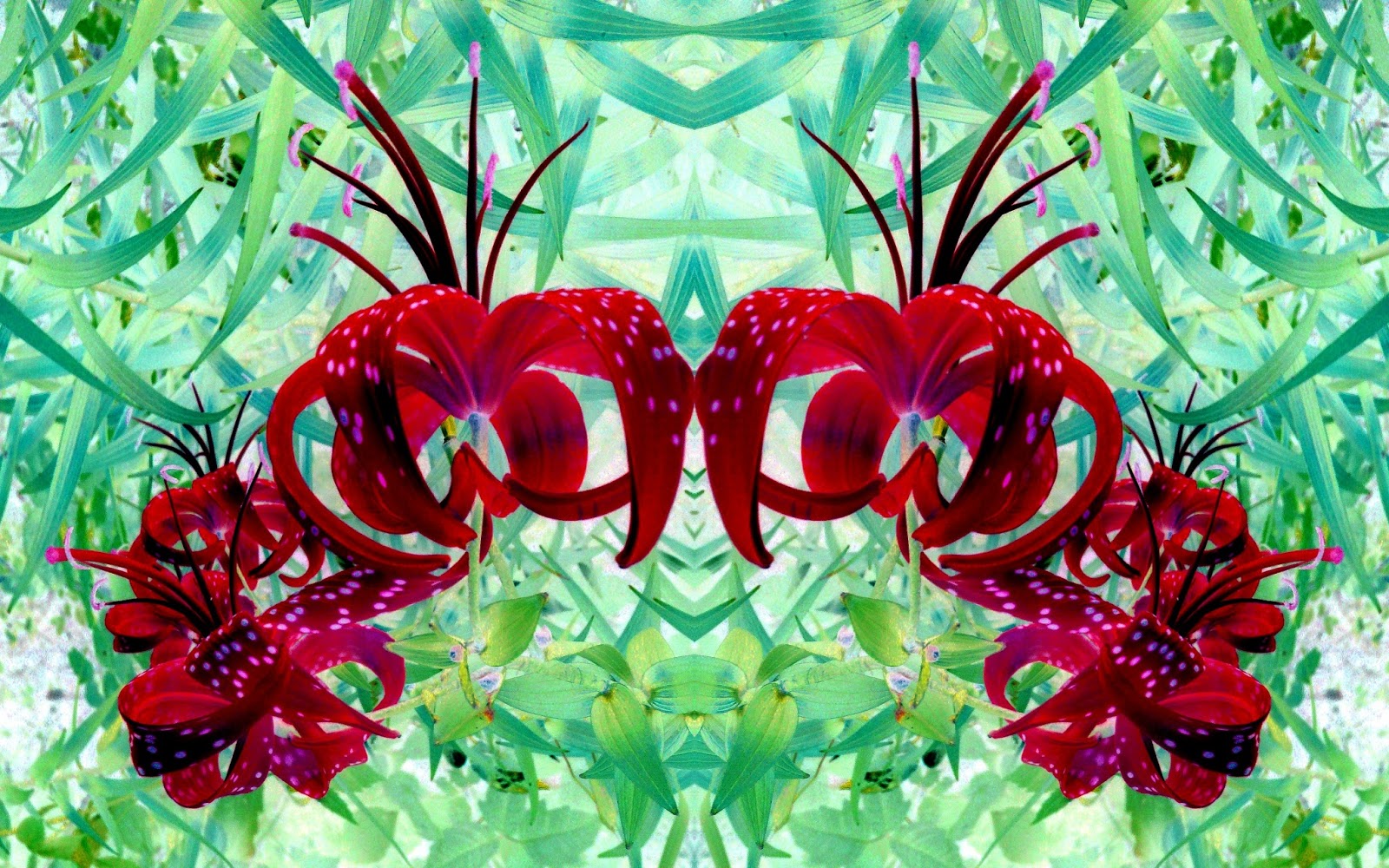 MarianneDowFoto Blog - Art Photography by Marianne Dow: Hey Lily, Is ...